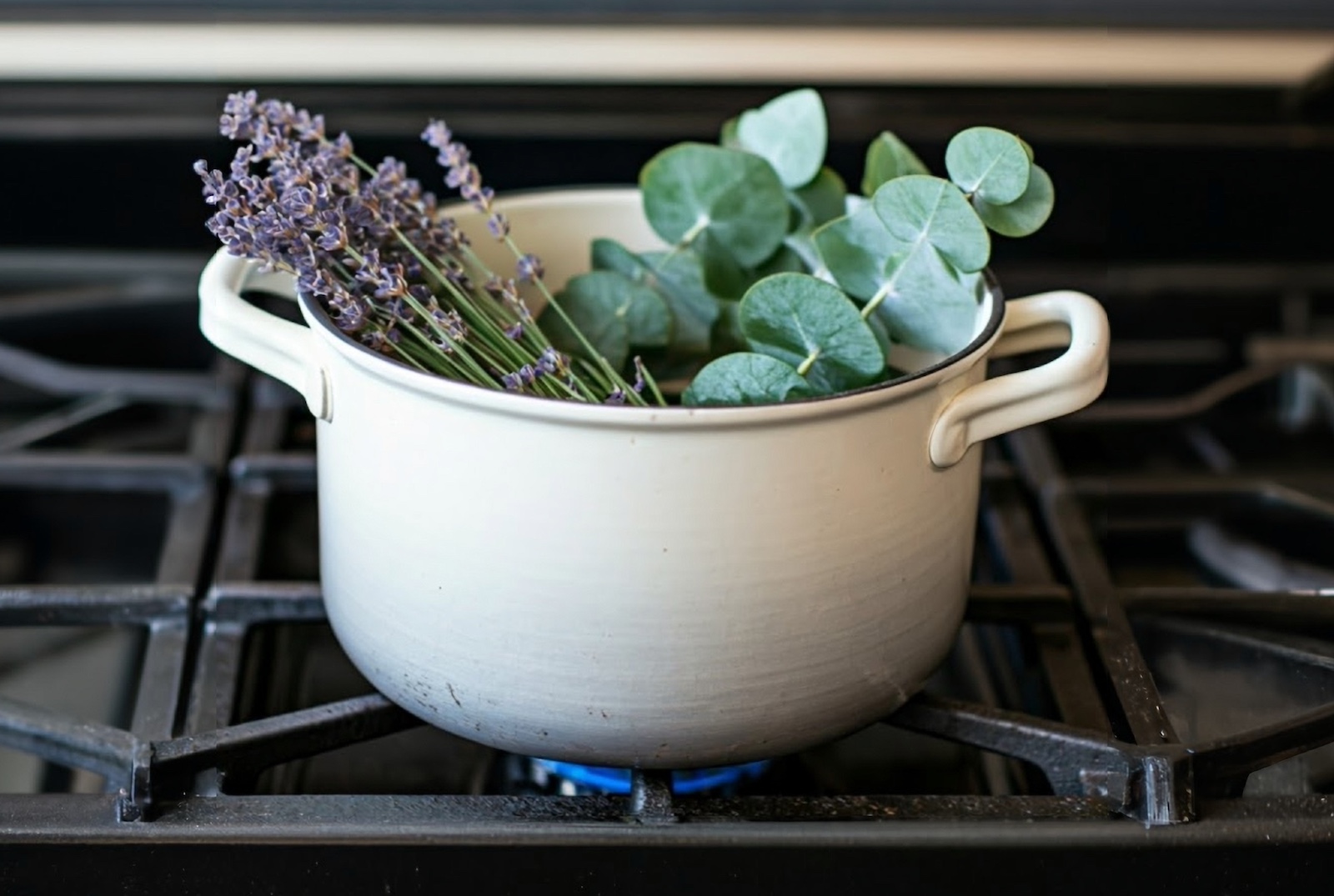 Summer Simmer Pot Recipe - The Paleo Diet®