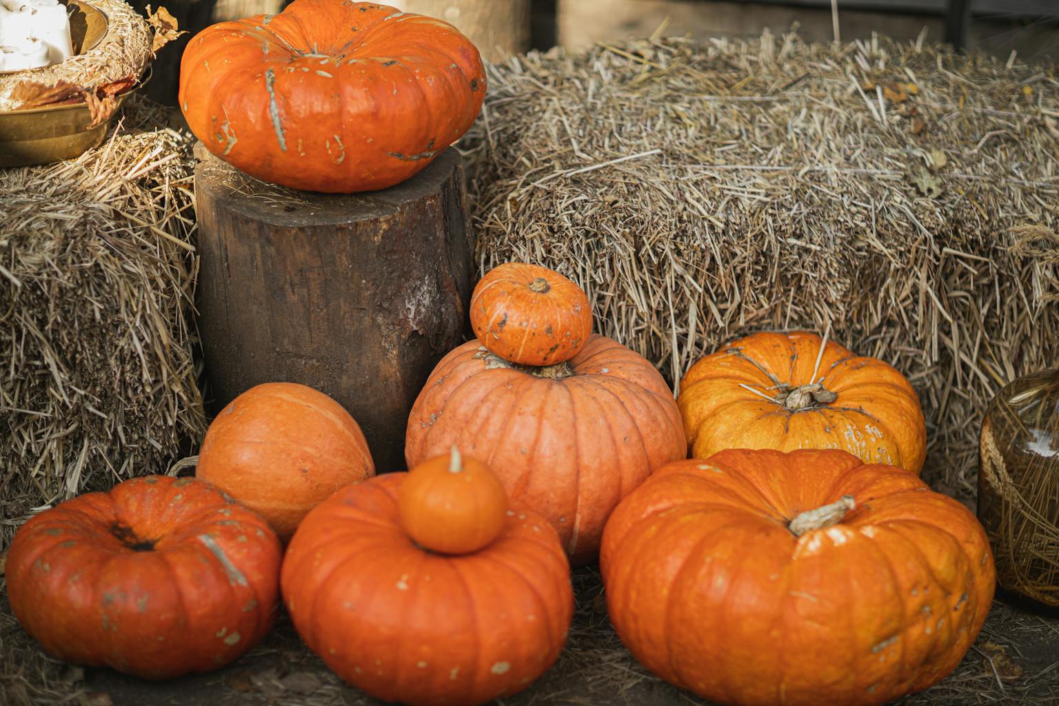 Is Pumpkin Good for You? Health Benefits of Pumpkin - The Paleo Diet®