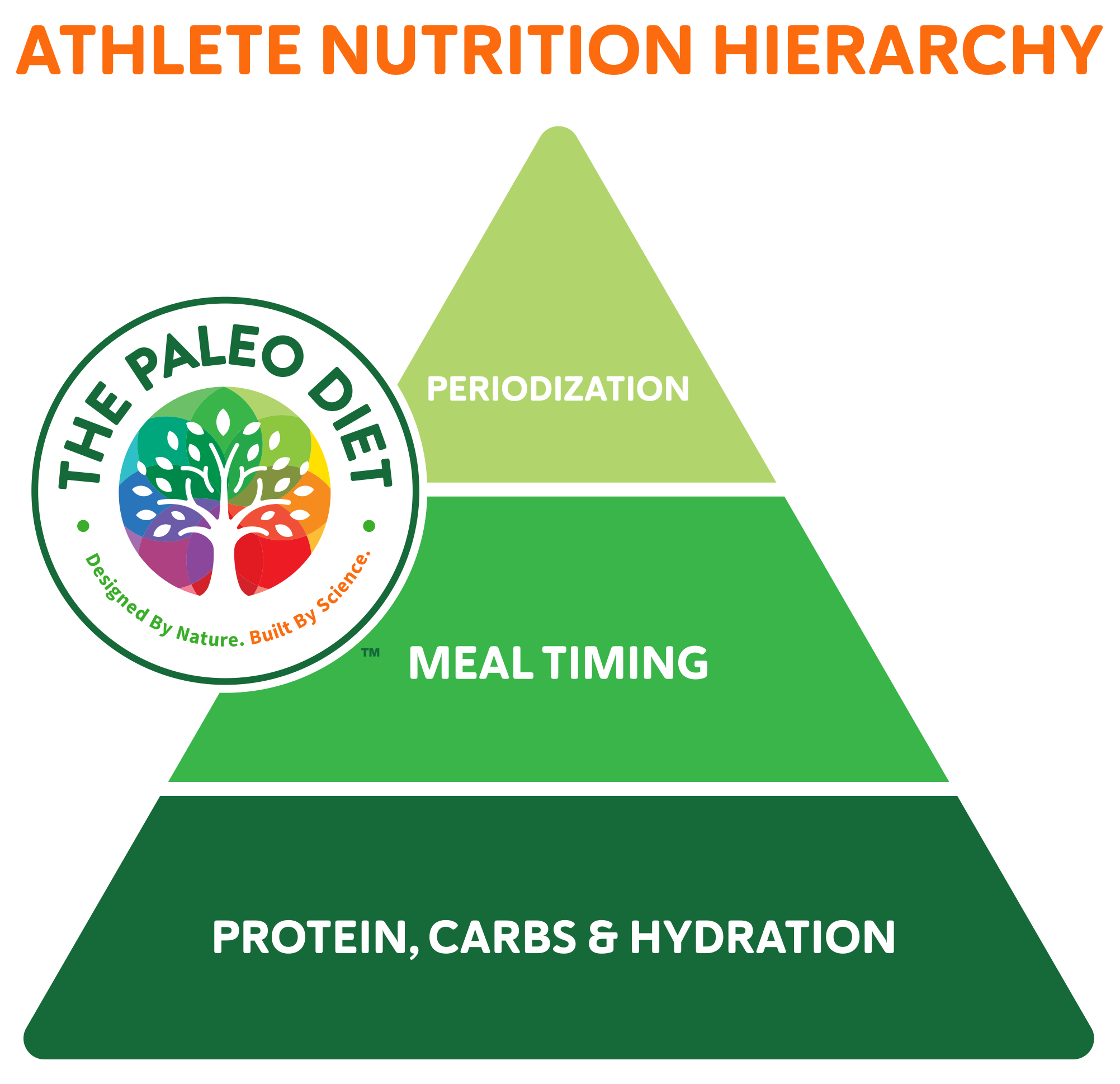 The Science of Nutrient Timing