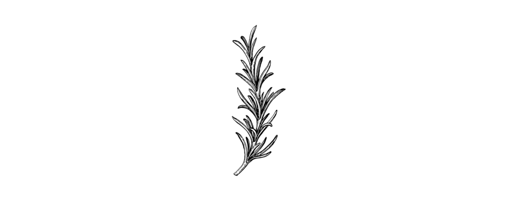 The Best Herbs for Your Indoor Garden - The Paleo Diet®