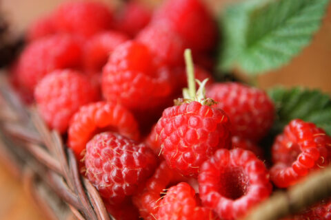 Raspberry Health Benefits and Culinary Tips - The Paleo Diet®