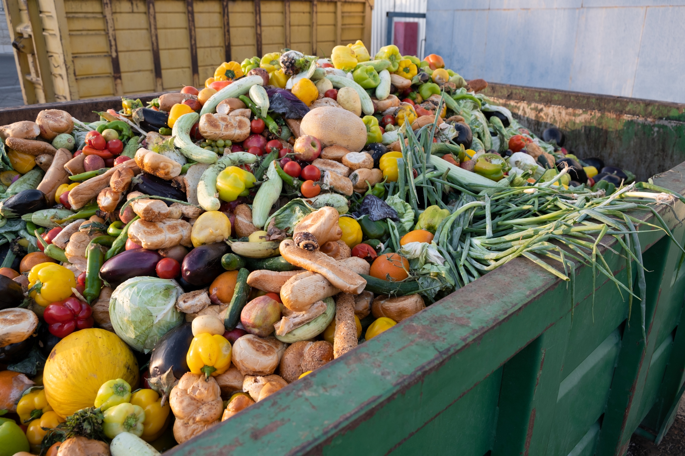 The Hidden Cost of Food Waste—and How to Change It - The Paleo Diet®